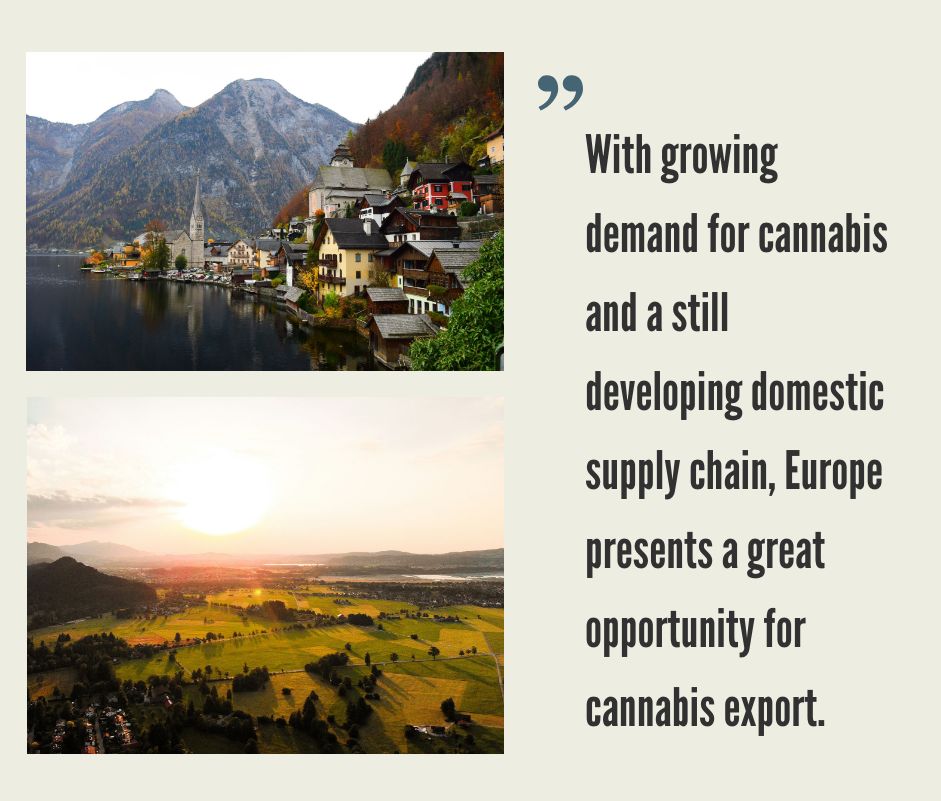 How to Export Medical Cannabis to Europe – Business Plan Templates Europe